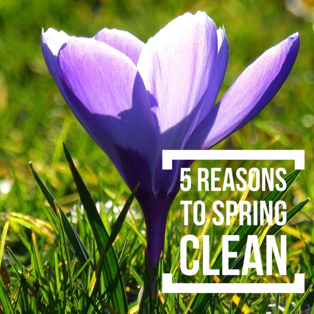 Five Reasons to Spring in to Spring Cleaning - carya
