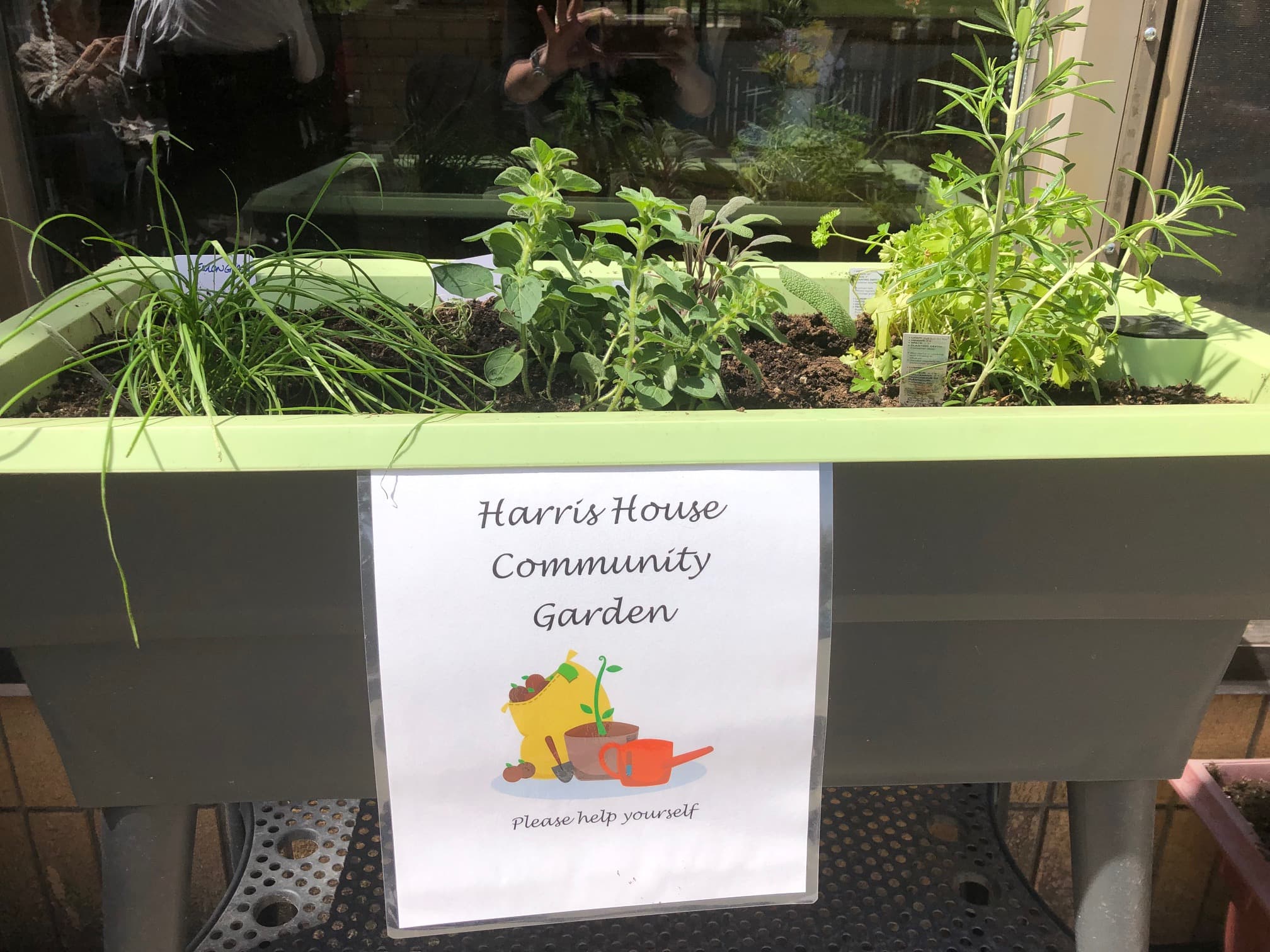 Better Together - How A Community Garden Kept Seniors Connected Through ...